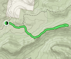 The Steamers: 110 Reviews, Map - Queensland, Australia | AllTrails