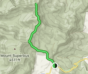 Lizard Point via Mount Superbus: 57 Reviews, Map - Queensland ...