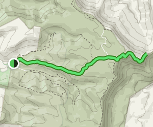 Goomburra Carpark to Laidley Creek Falls Campsite, 54 Fotos ...