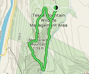Shatterack Mountain Loop: 33 Reviews, Map - Massachusetts | AllTrails