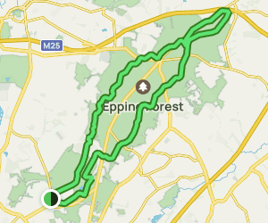 Epping Forest Main Path and Green Ride Circular: 813 Reviews, Map ...