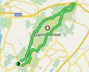 Epping Forest Main Path and Green Ride Circular, Essex, England - 916 ...