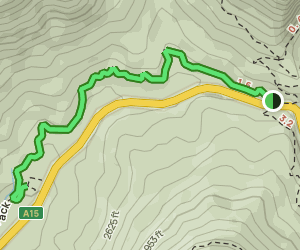 Box Forest Track: 30 Reviews, Map - Queensland, Australia | AllTrails