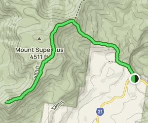 Mount Superbus Lincoln Ridge Track: 23 Reviews, Map - Queensland ...