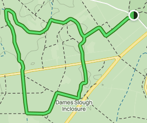 Knightwood and Anderwood Circular, 64 Fotos - Hampshire, England ...