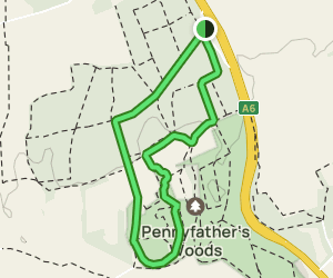 Maulden Woods and Pennyfather's Woods Circular: 52 Reviews, Map ...