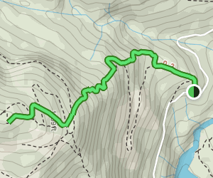 Dewdney Cabin North Trail: 75 Reviews, Map - British Columbia, Canada ...