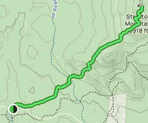 Stratton Mountain via Long Trail: 670 Reviews, Map - Vermont | AllTrails