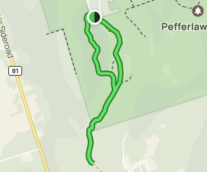 Pefferlaw Forest Trail: 58 Reviews, Map - Ontario, Canada | AllTrails