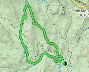 Trace Ridge Trail, Spencer Gap, and Fletcher Creek Loop, North Carolina ...
