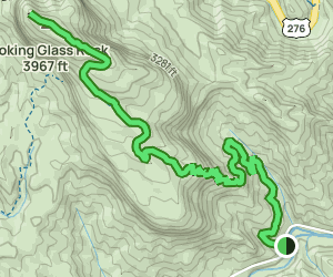 Looking Glass Rock Trail: 5971 Reviews, Map - North Carolina | AllTrails