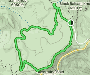 Art Loeb Trail, Little Sam Trail, and Flat Laurel Creek Trail: 61 Reviews, Map - North Carolina ...