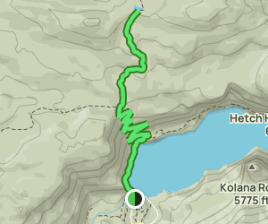 Beehive Meadow Trail: 24 Reviews, Map - California | AllTrails