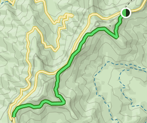 Big Ridge Overlook to Elk Pasture Gap via Shut-In Trail: 268 Reviews ...