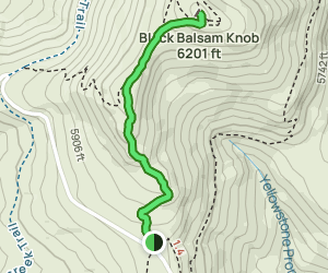 Black Balsam Knob via Art Loeb Trail: 1913 Reviews, Map - North ...