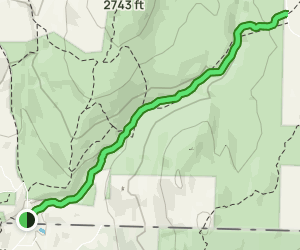 AllTrails | Broad Brook Trail: 45 Reviews, Map - Vermont