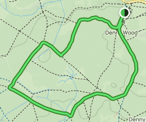 Denny Wood Circular: 31 Reviews, Map - Hampshire, England | AllTrails