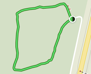 Fork Swamp Trail, South Carolina - 24 Reviews, Map | AllTrails