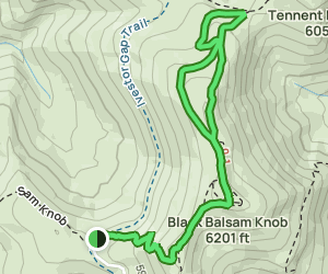 Black Balsam Summit Trail and Art Loeb Loop: 151 Reviews, Map - North ...