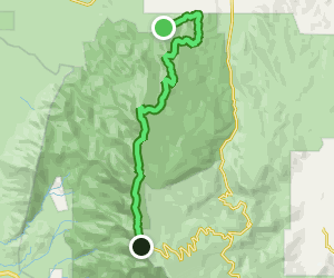 North Crest Trail: 97 Reviews, Map - New Mexico | AllTrails