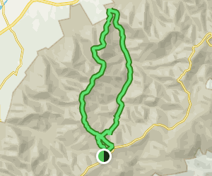 Rockytop and Big Run Loop: 615 foton – Virginia | AllTrails