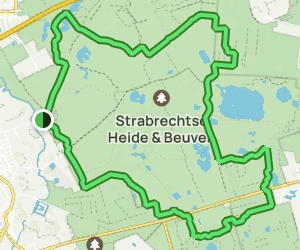 Strabrechtse Heide Loop: 51 Reviews, Map - North Brabant, Netherlands ...