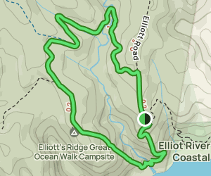 Elliot River Loop Walk: 93 Reviews, Map - Victoria, Australia | AllTrails