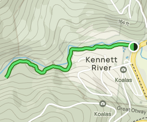 Kennett River Nature Walk: 53 Reviews, Map - Victoria, Australia ...