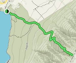Saint Arnaud Range Track, 136 Fotos - Nelson-Tasman, Neuseeland | AllTrails