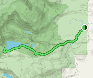 Rainbow Lake Trail: 164 Reviews, Map - Colorado | AllTrails