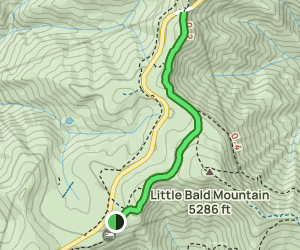 Buck Spring Trail: 546 Reviews, Map - North Carolina | AllTrails