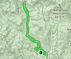 Buckhorn Gap Trail to Twin Falls: 1.339 fotos - North Carolina | AllTrails