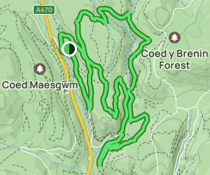 Coed y Brenin Forest Circular: 14 Reviews, Map - Gwynedd, Wales | AllTrails