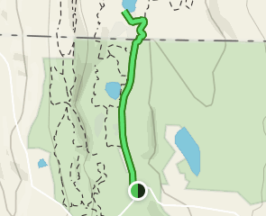 Rattlesnake Hill Trail, Connecticut - 57 Reviews, Map | AllTrails