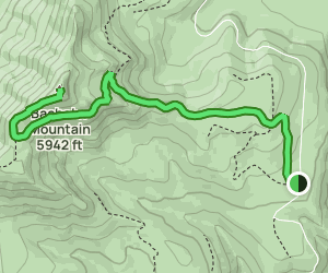 Bachelor Mountain via Bugaboo Ridge: 116 Reviews, Map - Oregon | AllTrails