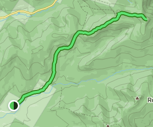 Slide Mountain via Phoenicia-East Branch Trail: 2 173 foton – New York ...