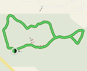 Gator Creek Reserve Trail, Florida - 375 Reviews, Map | AllTrails