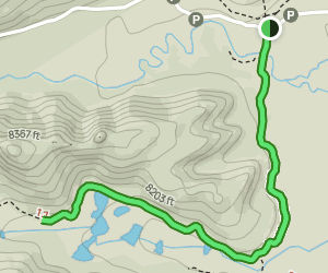 Beaver Ponds: 294 Reviews, Map - Colorado | AllTrails