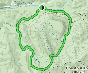 Cat Gap Loop Trail: 580 Reviews, Map - North Carolina | AllTrails
