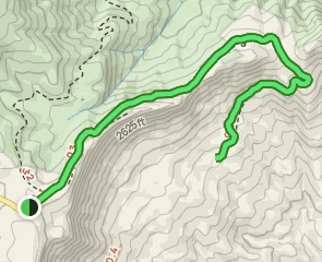 World's Edge Trail, North Carolina - 204 Reviews, Map | AllTrails