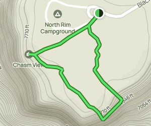 Chasm View Nature Trail: 213 Reviews, Map - Colorado | AllTrails