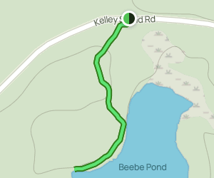 Beebe Pond Trail: 7 Reviews, Map - Vermont | AllTrails