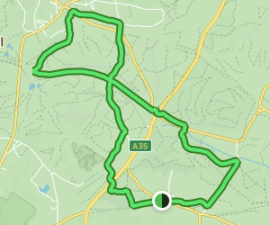Wootton and Castleman Trailway Circular MTB: 15 Reviews, Map ...