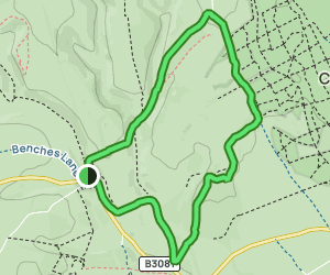 Tollard Royal and Rushmore Circular: 10 Reviews, Map - Dorset, England ...
