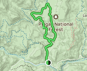 Cove Creek and Caney Bottom Trail, North Carolina - 675 Reviews, Map ...