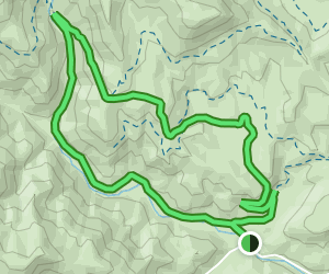 Daniel Ridge Loop: 1556 Reviews, Map - North Carolina | AllTrails