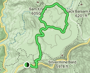 Devil's Courthouse, Little Sam, and Black Balsam Loop: 61 Reviews, Map ...