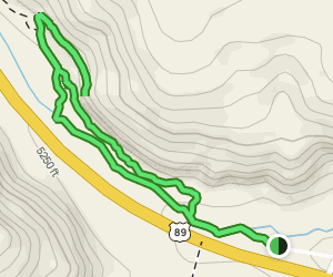 Sand Caves: 1882 Reviews, Map - Utah | AllTrails