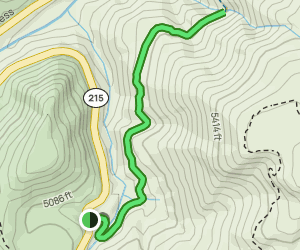 Flat Laurel Creek Trail to Wildcat Falls: 323 Reviews, Map - North ...