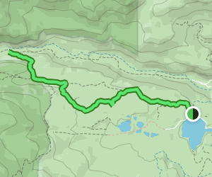 Coney Creek and Coney Flats Road: 138 fotos - Colorado | AllTrails